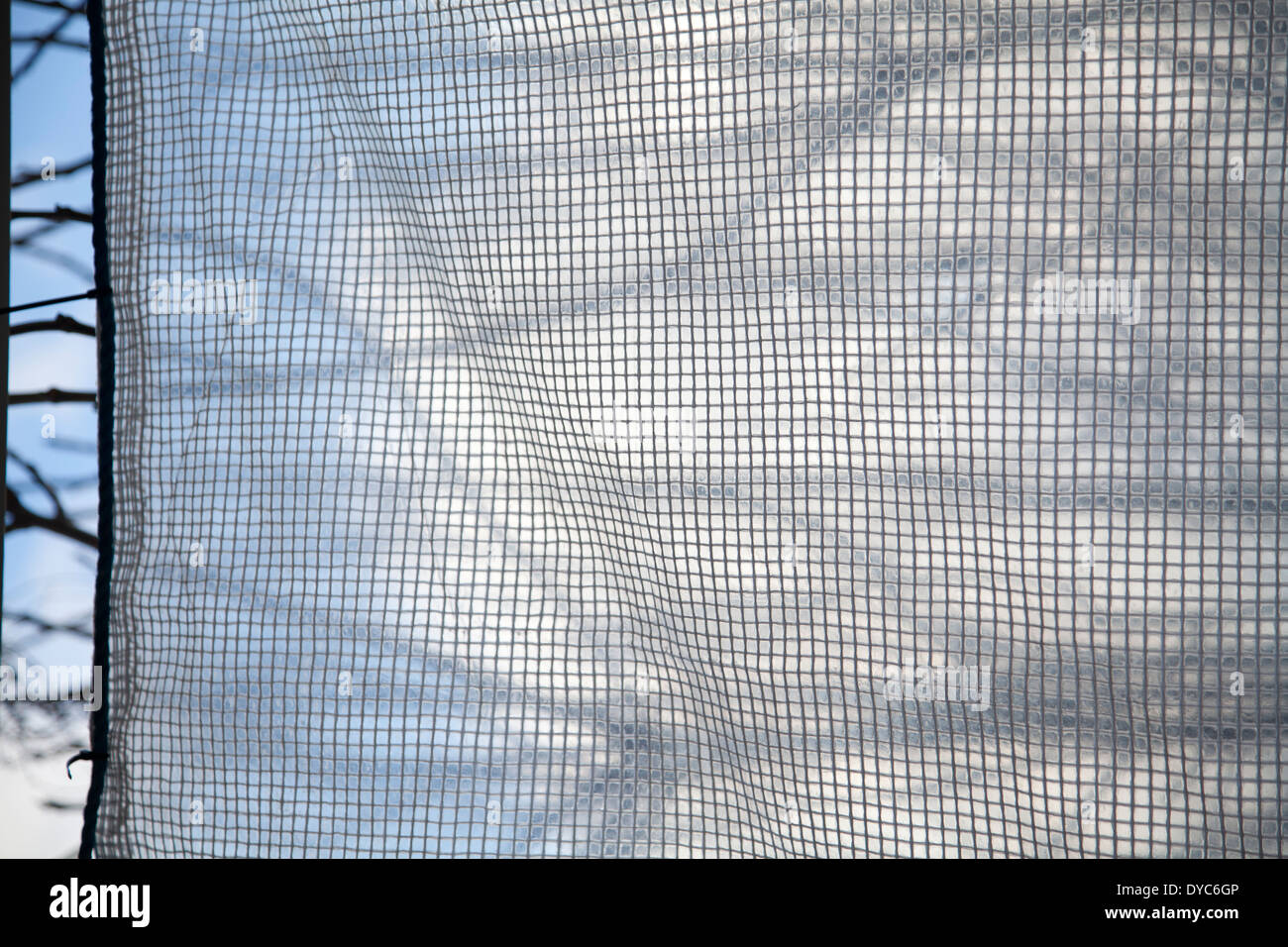 Trees behind netting Stock Photo - Alamy