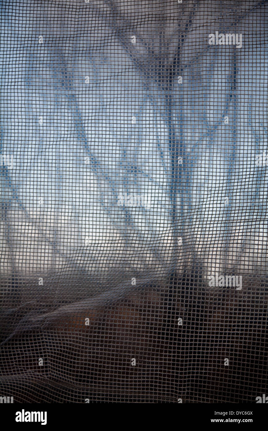 Trees behind netting Stock Photo - Alamy