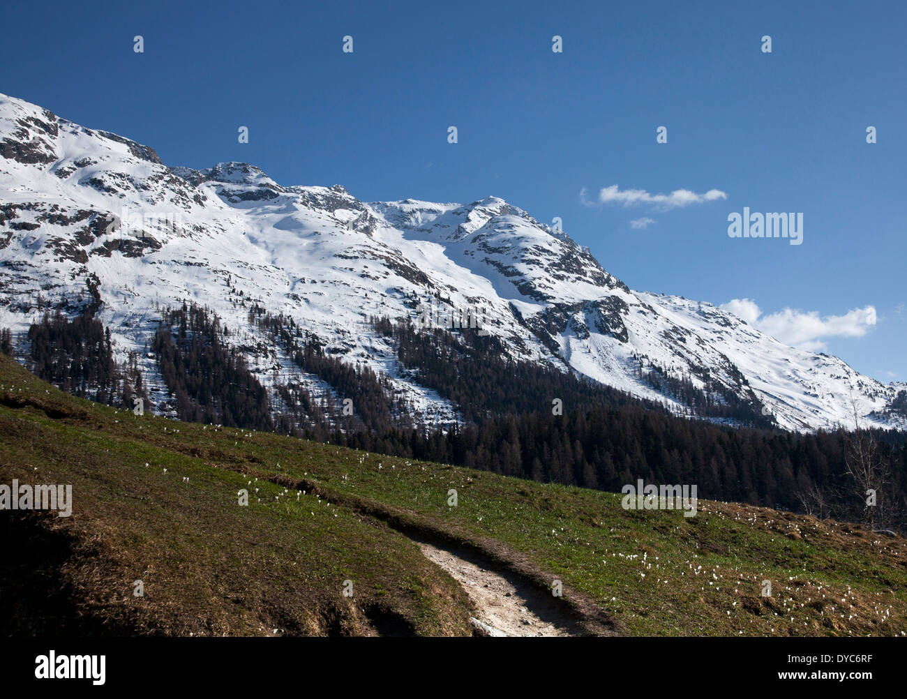 Mountainside path hi-res stock photography and images - Alamy