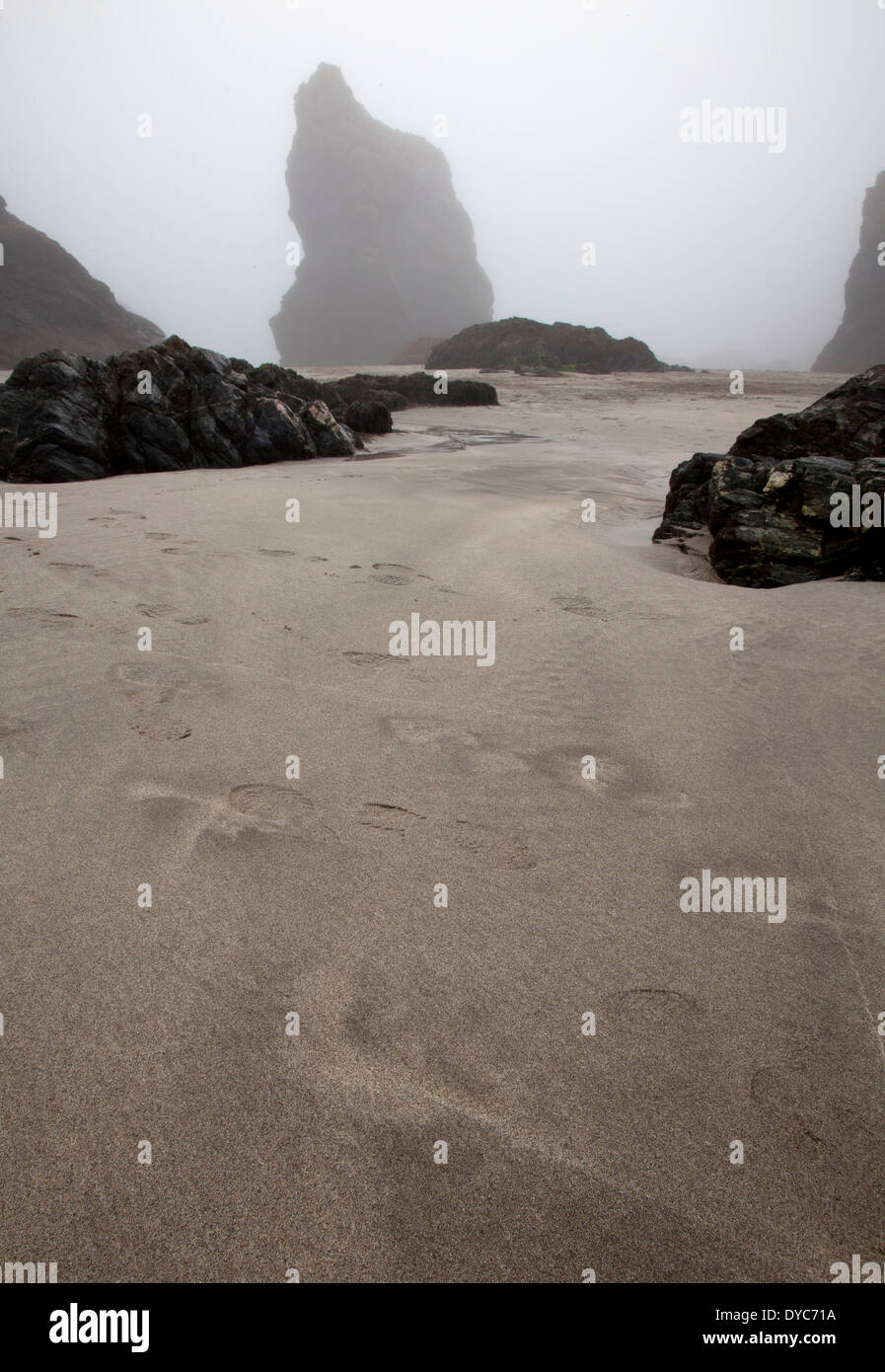 Foggy coast hi-res stock photography and images - Alamy