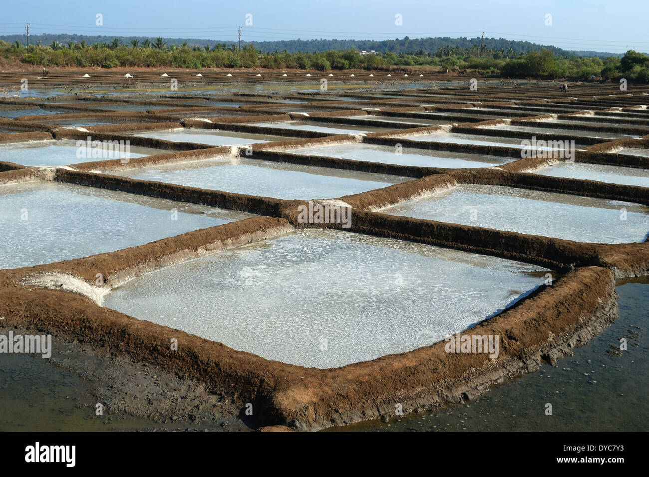 Colonial Salt Pans