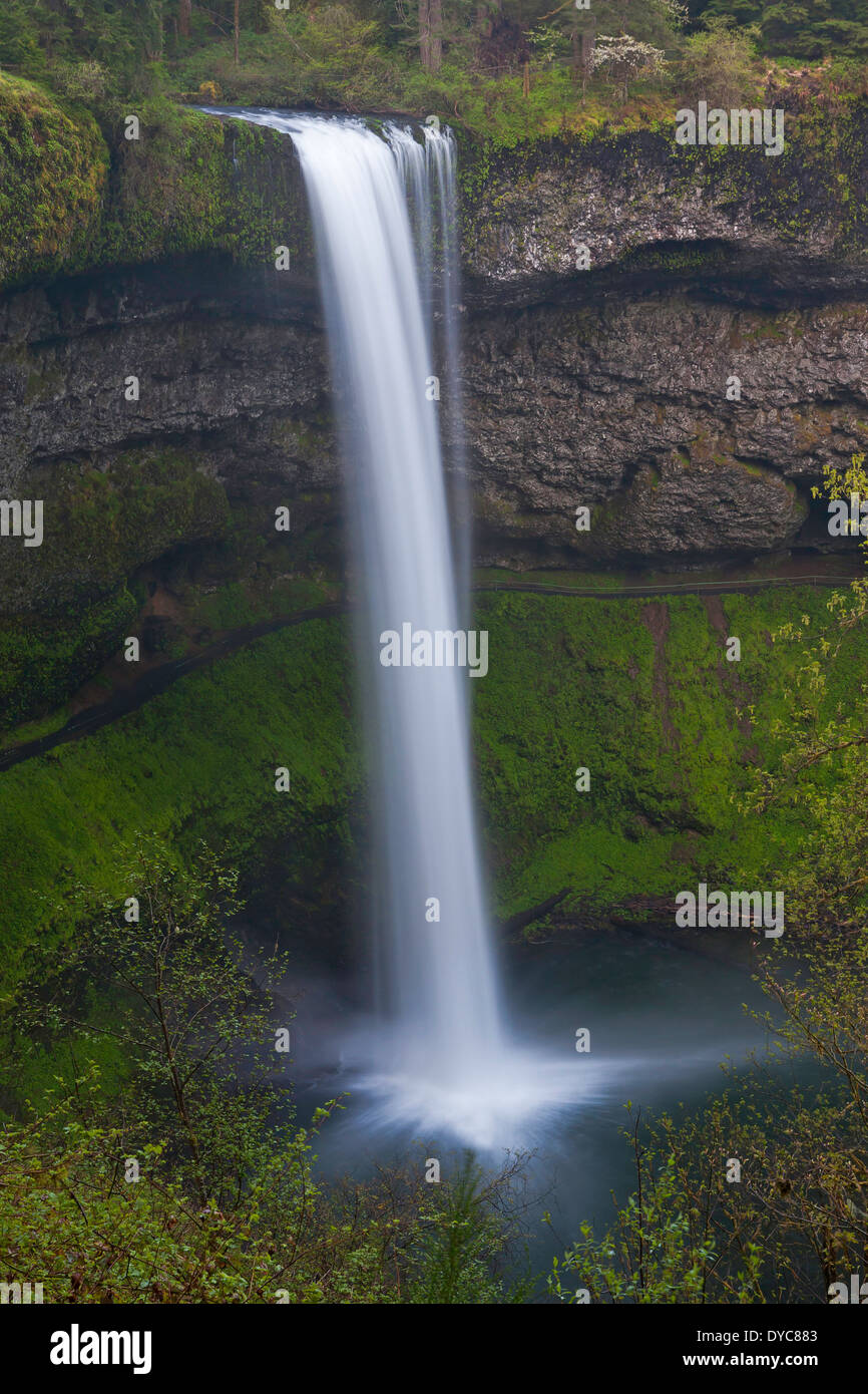 South falls at silver falls state park hi-res stock photography and ...