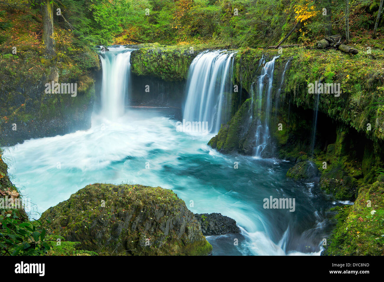 Spirit Falls in the Columbia River Gorge on the Washington side. Fall ...