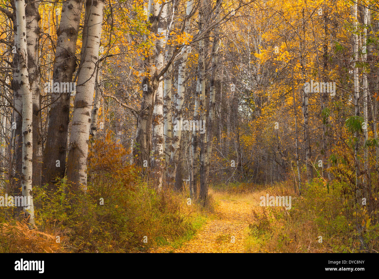 Methow valley hi-res stock photography and images - Alamy