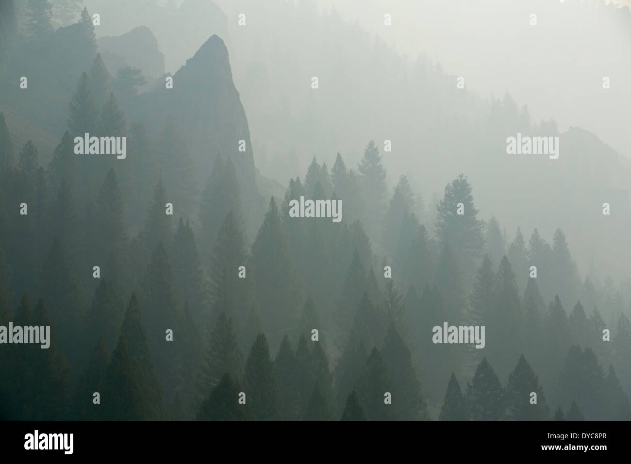 Forest fire smoke through the trees and ridge outcrops of the Yankee ...