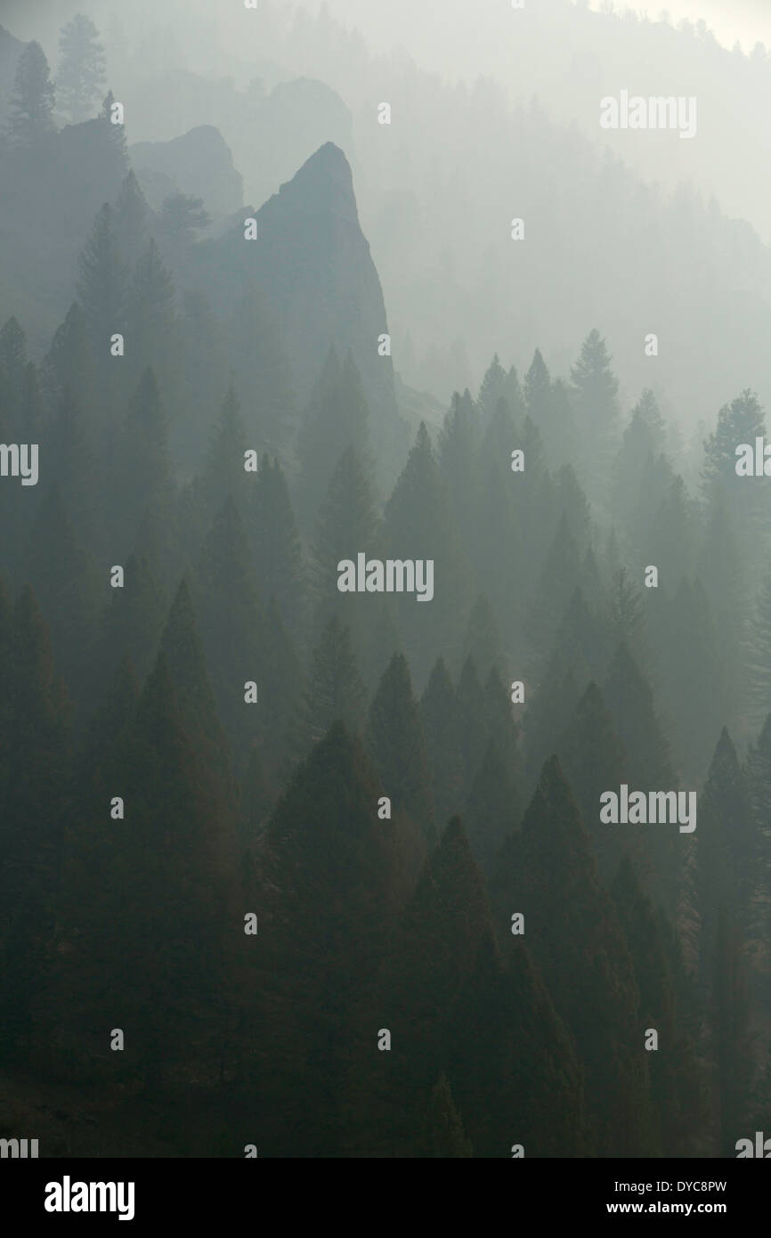 Forest fire smoke through the trees and ridge outcrops of the Yankee ...