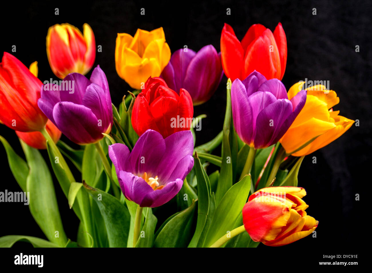 Multi coloures hi-res stock photography and images - Alamy