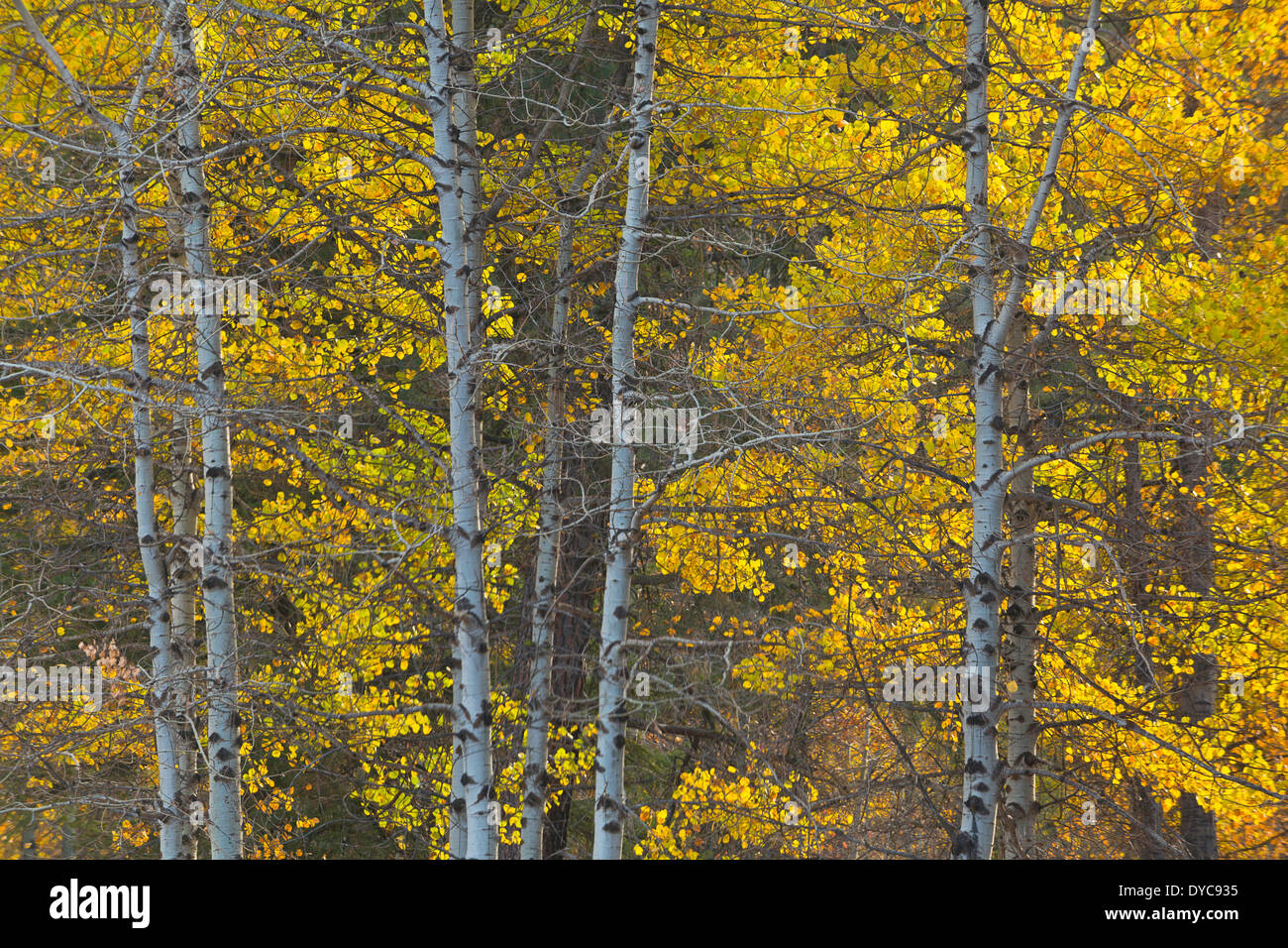 Methow valley hi-res stock photography and images - Alamy