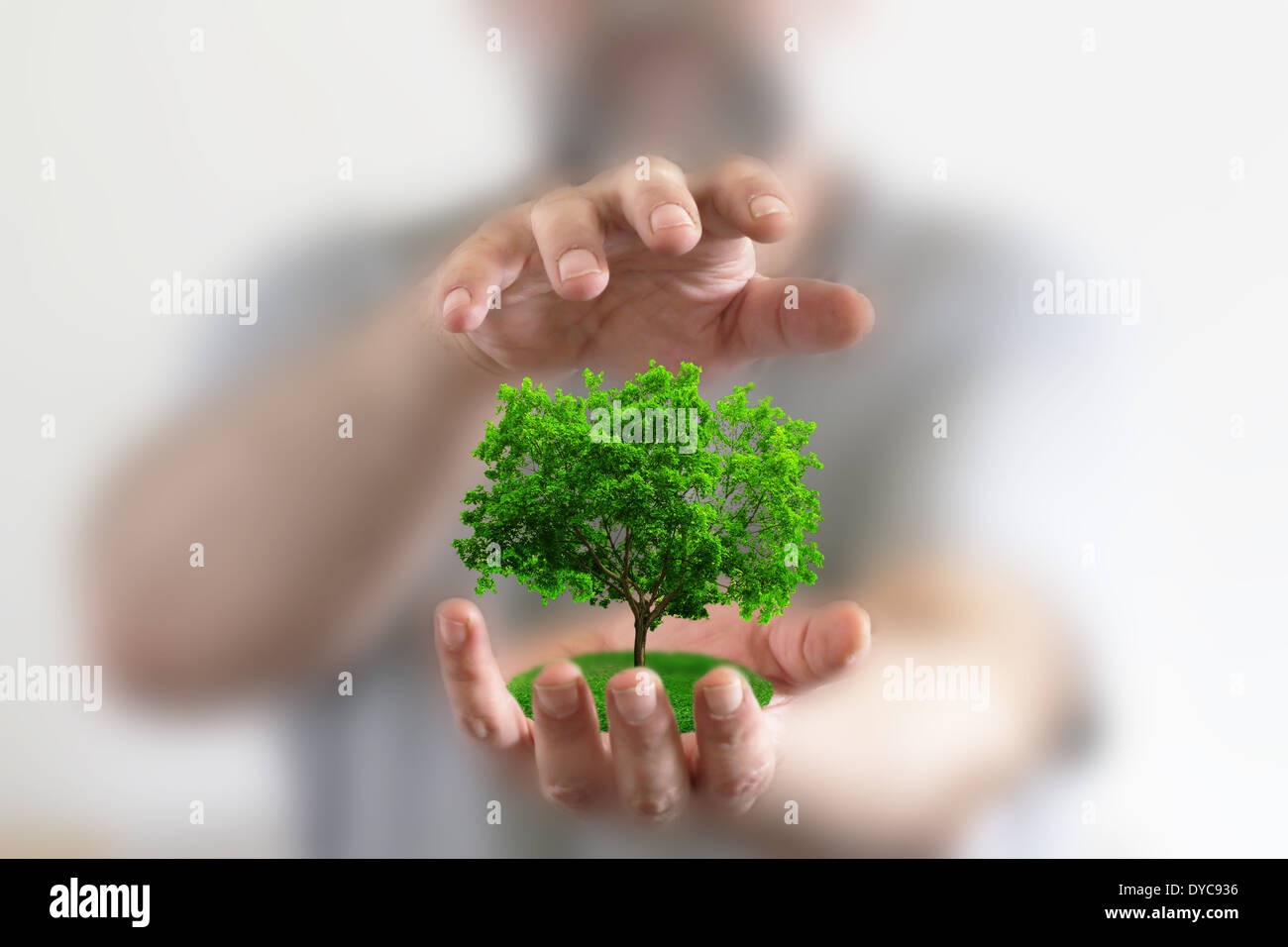 Hands holding a small tree Stock Photo - Alamy