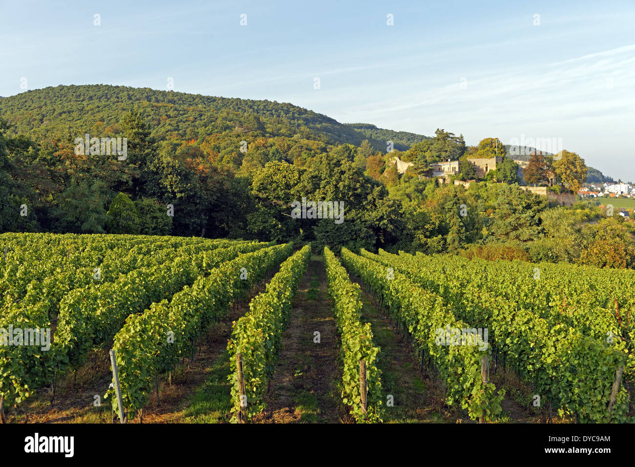 Friedrich deidesheimer hi-res stock photography and images - Alamy