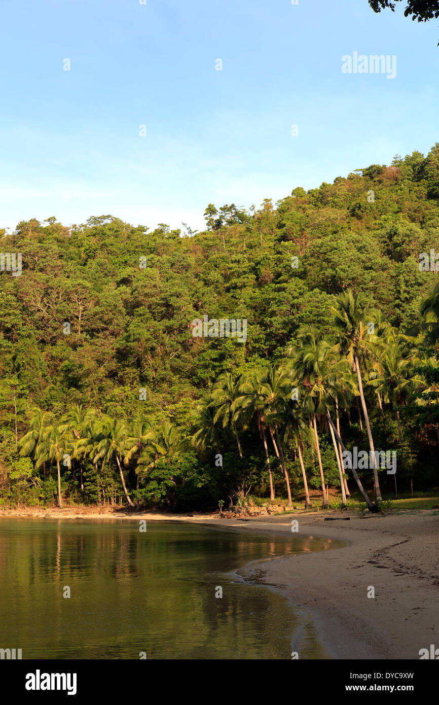 Turtle cove port hi-res stock photography and images - Alamy