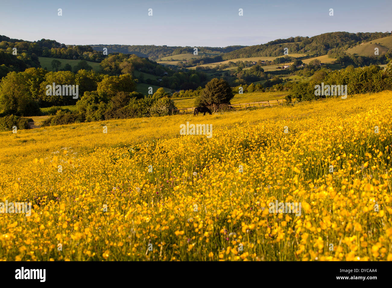 The Slad Valley, Stroud, Gloucestershire, UK. Location of the book ...
