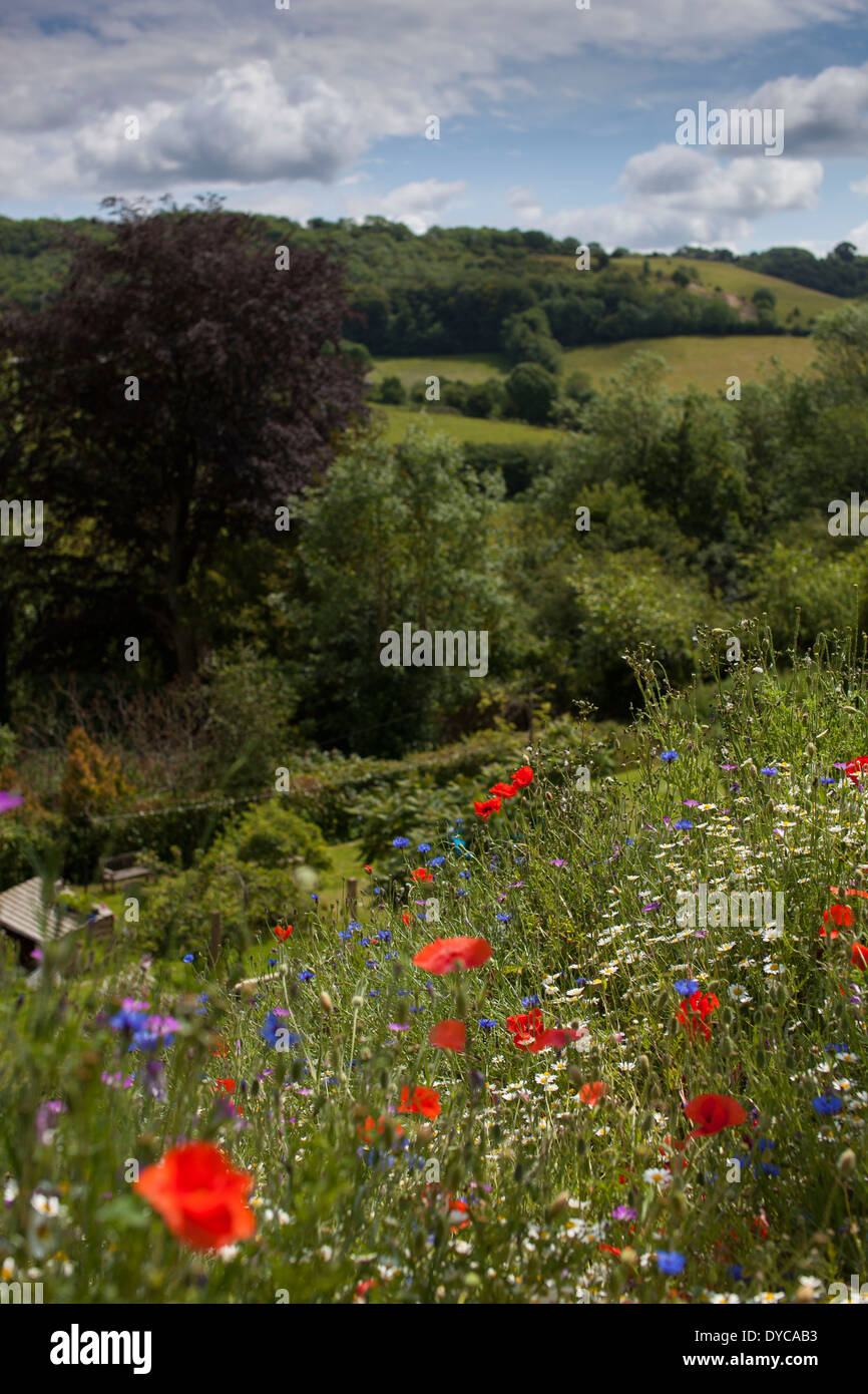 The slad valley hi-res stock photography and images - Alamy