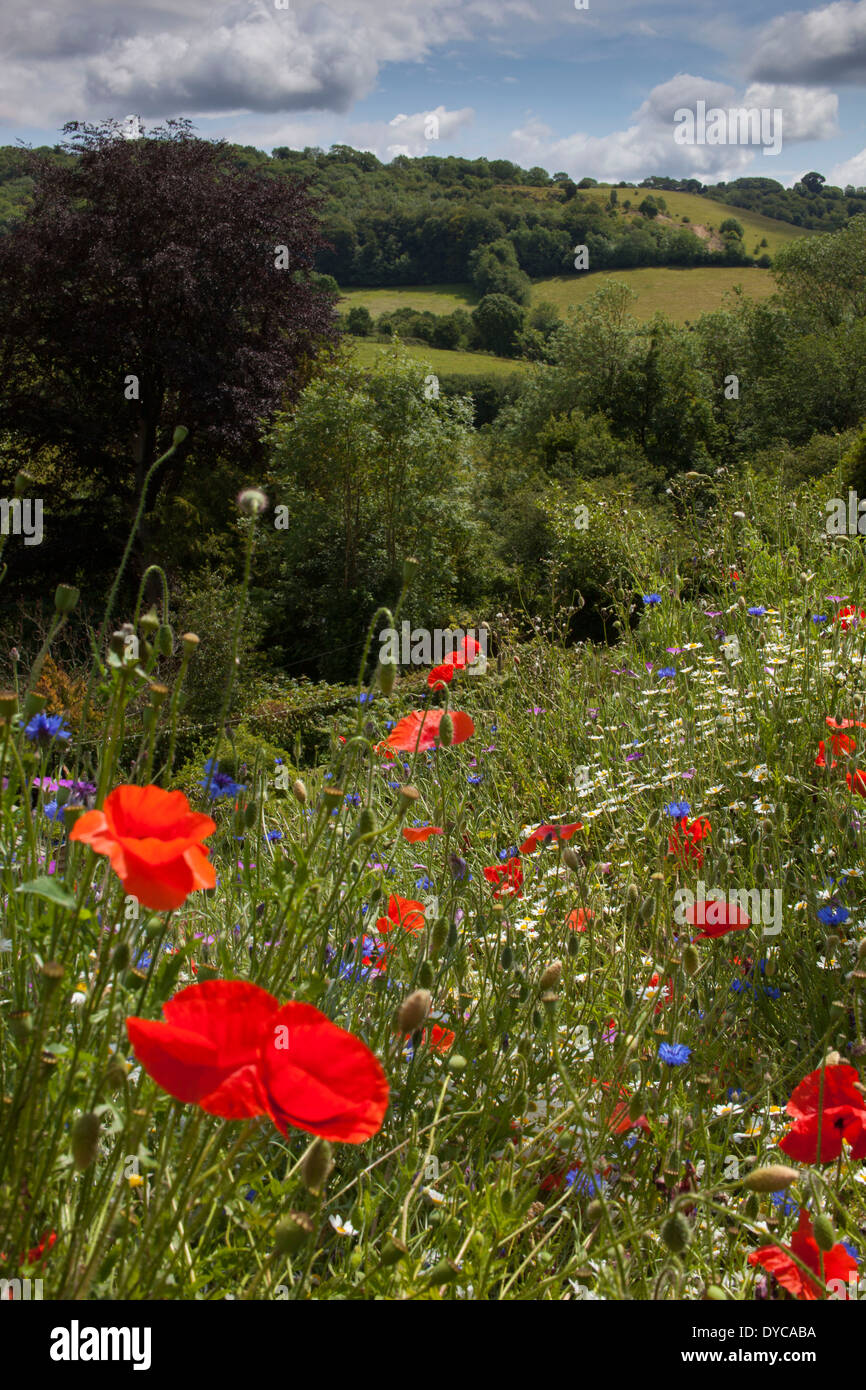 View slad valley hi-res stock photography and images - Alamy