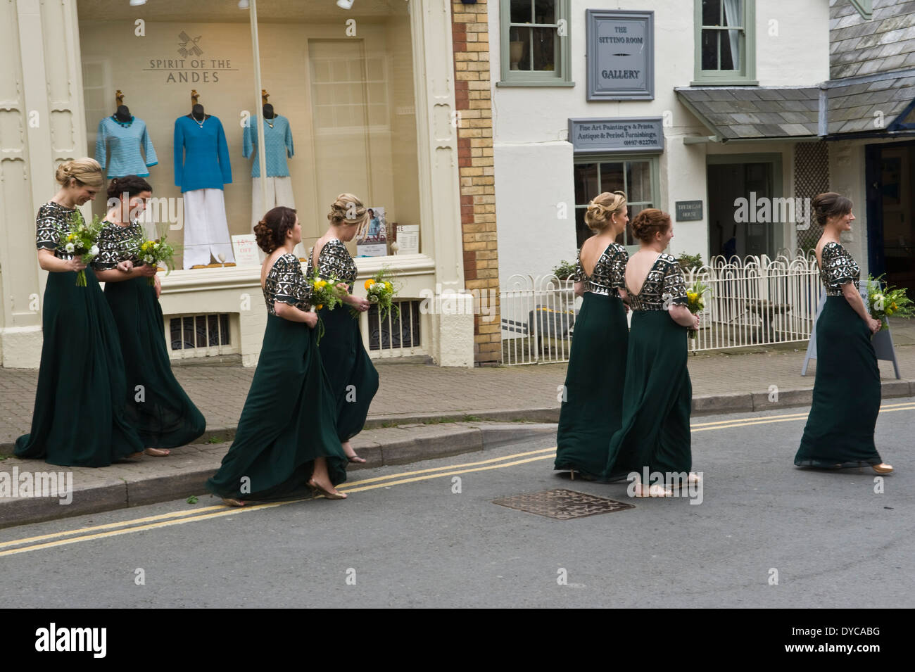 Bridesmaids walking in wedding procession through Hay-on-Wye Powys ...