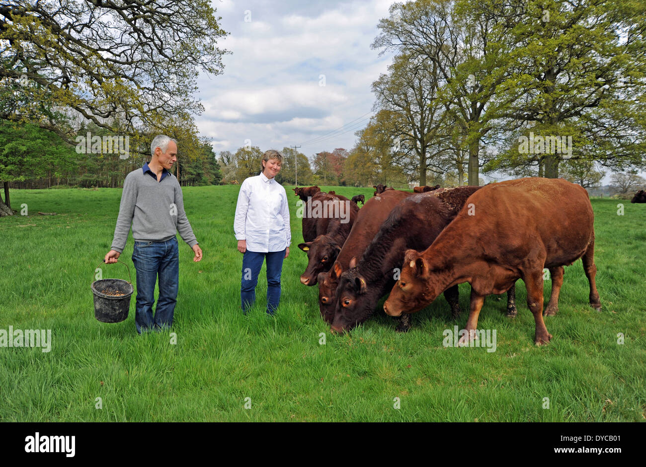 Cowfold hi-res stock photography and images - Alamy