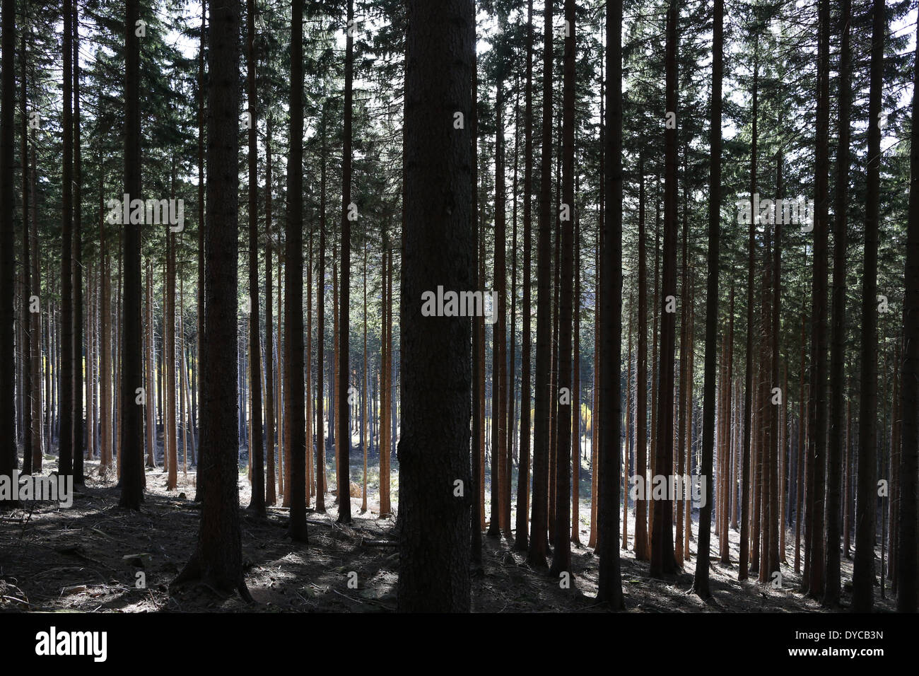 Harz region hi-res stock photography and images - Alamy