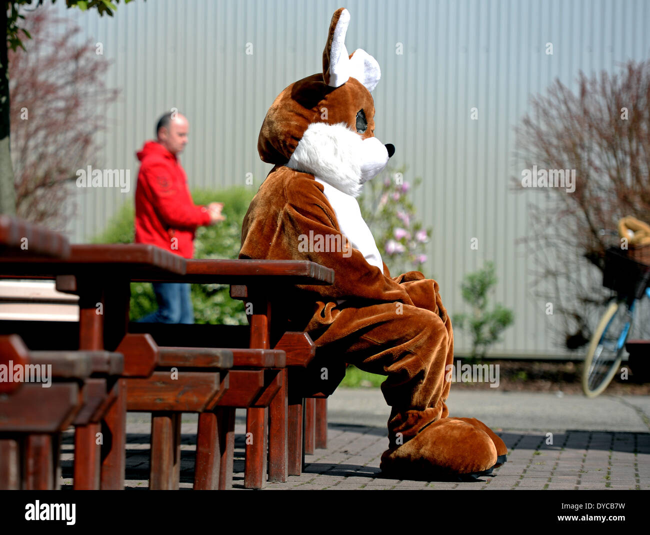 Easter bunny actor hi-res stock photography and images - Alamy