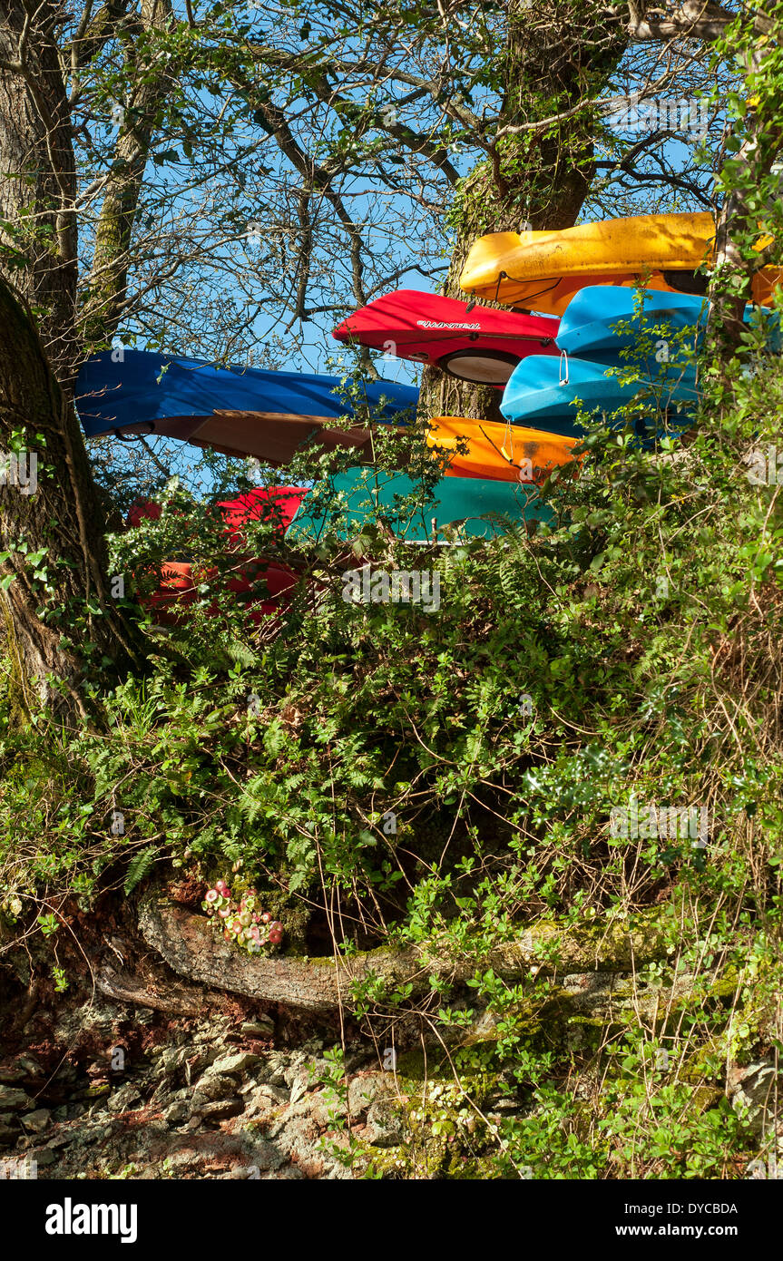 Stoke woods devon hi-res stock photography and images - Alamy