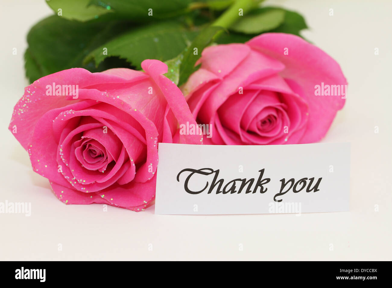 Thank you note with rose hi-res stock photography and images - Alamy
