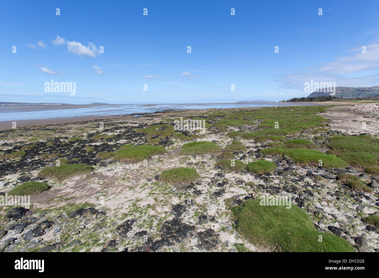 The Wales Coastal Path in North Wales. Traeth Lafan Nature Reserve on ...