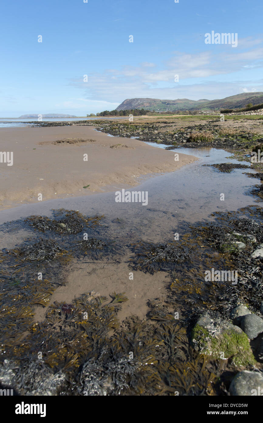 The Wales Coastal Path in North Wales. Traeth Lafan Nature Reserve on ...