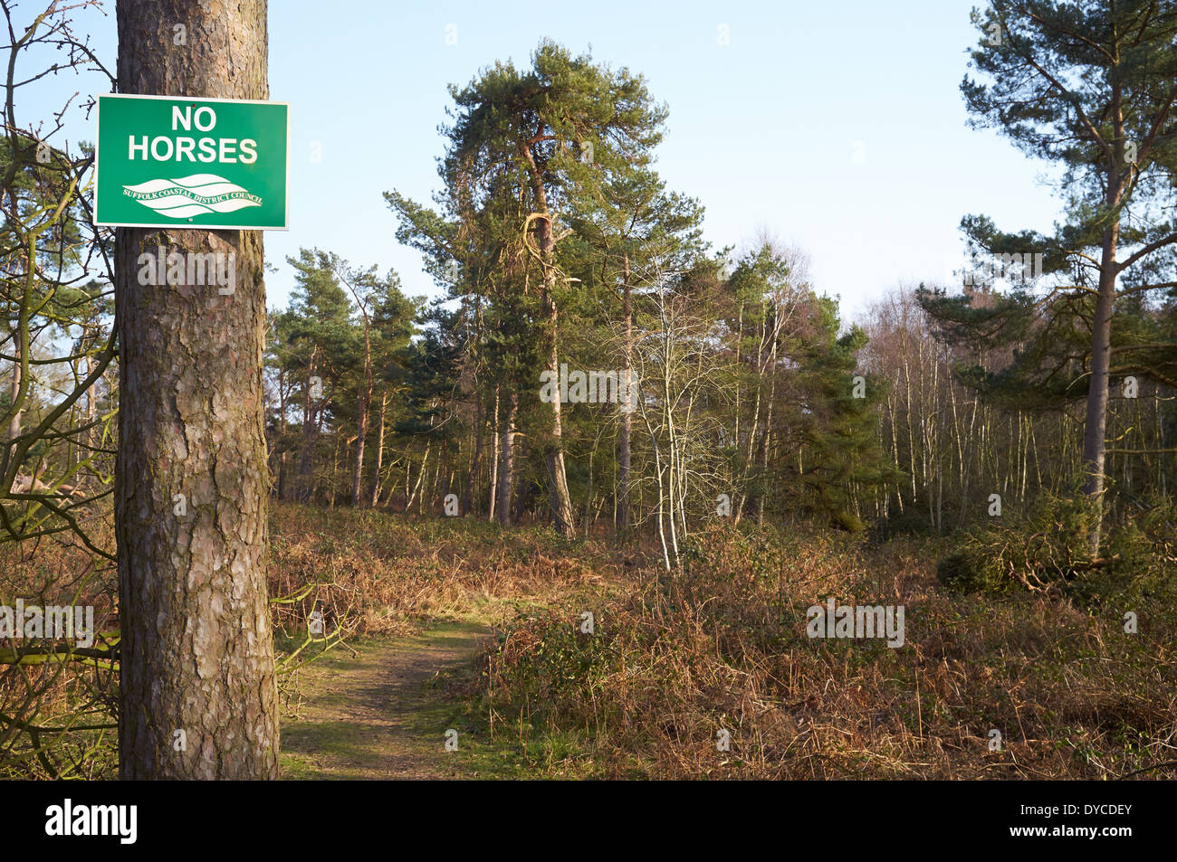 No horses hi-res stock photography and images - Alamy