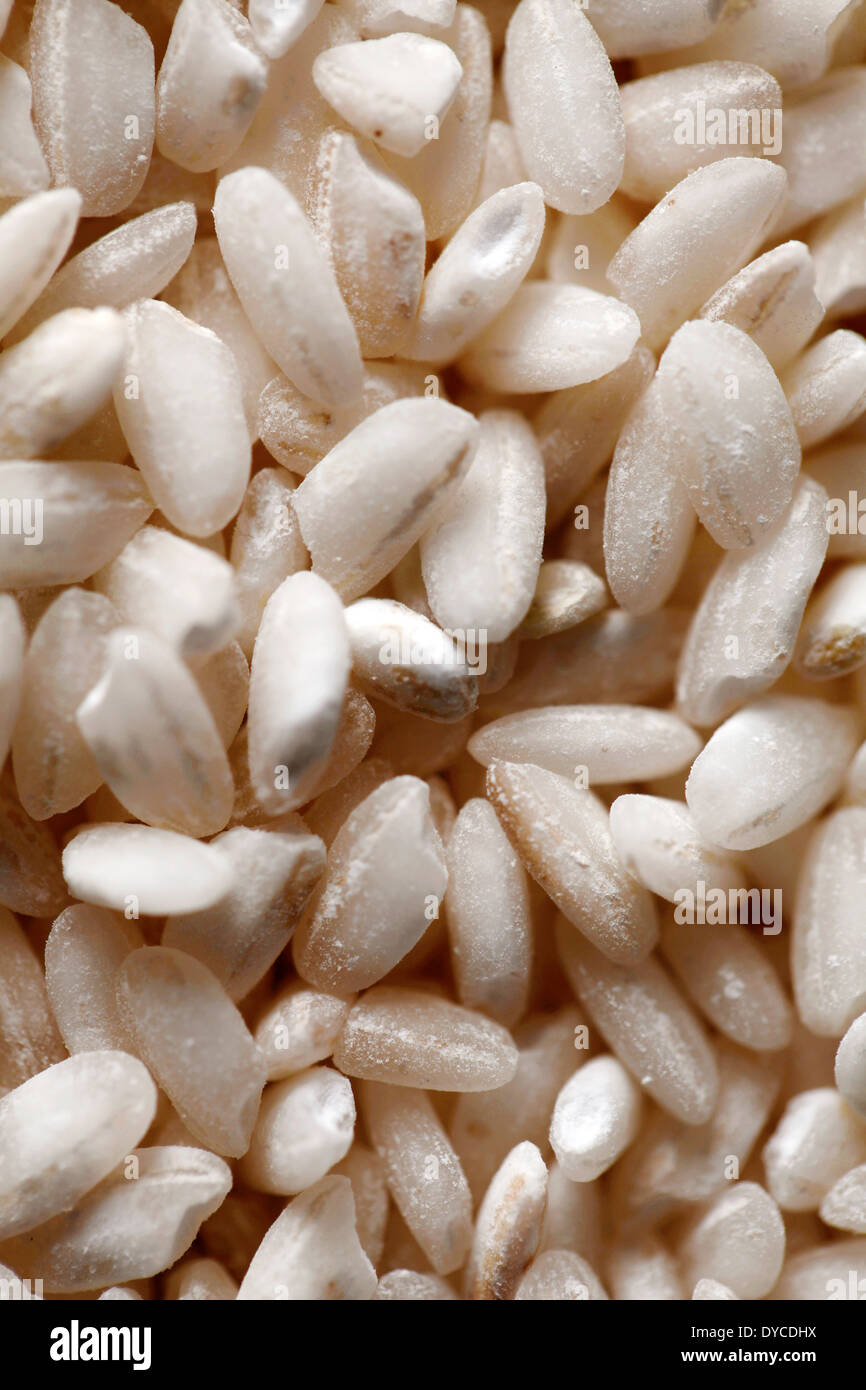 Grains of rice Stock Photo - Alamy