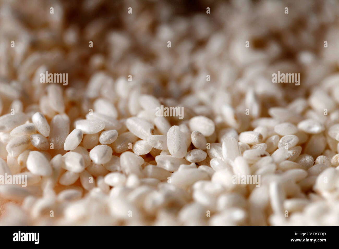 Grains of rice hi-res stock photography and images - Alamy