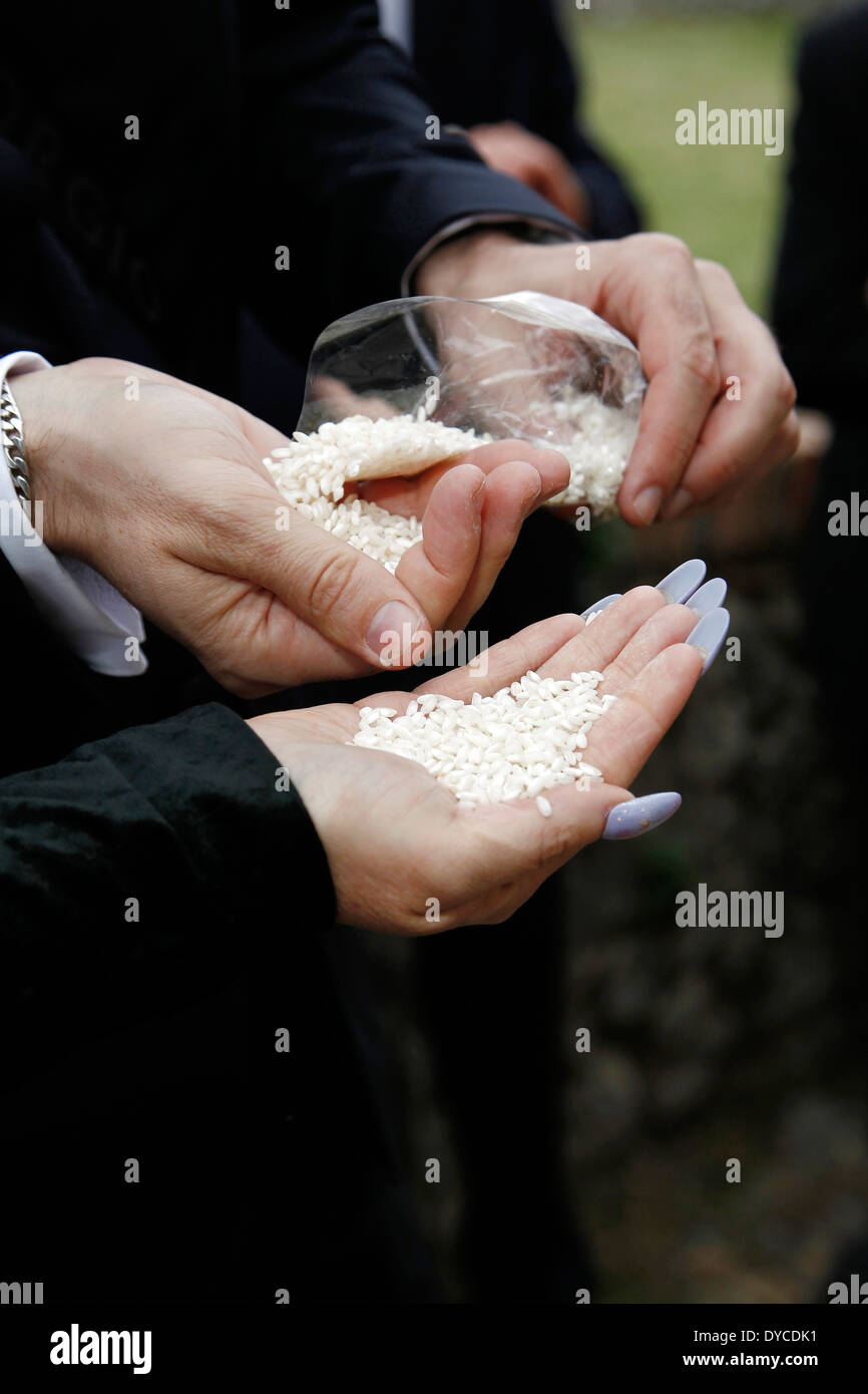 Hands ready to throw the rice to the bride Stock Photo - Alamy