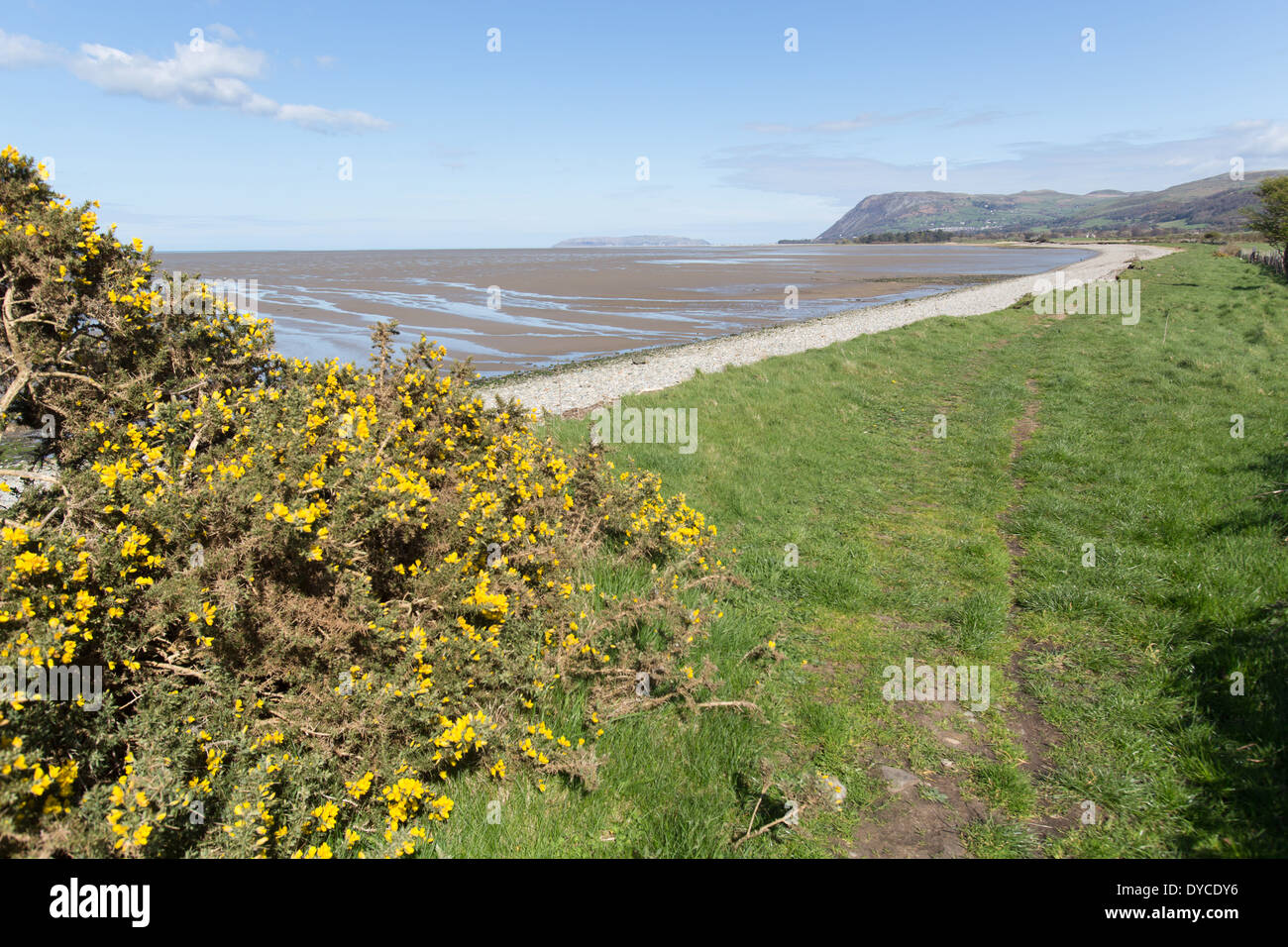 The Wales Coastal Path in North Wales. Traeth Lafan Nature Reserve on ...