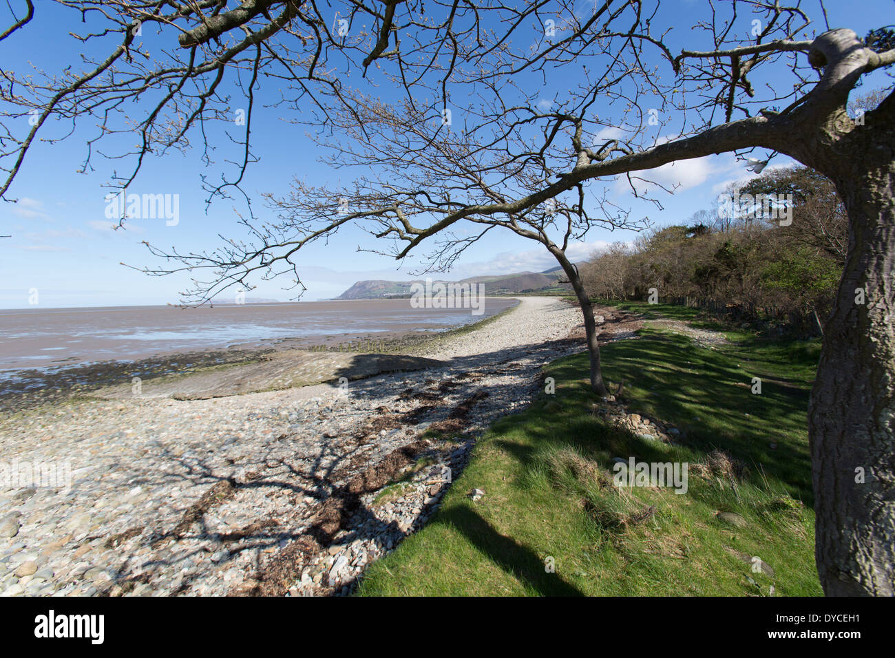 The Wales Coastal Path in North Wales. Traeth Lafan Nature Reserve on ...