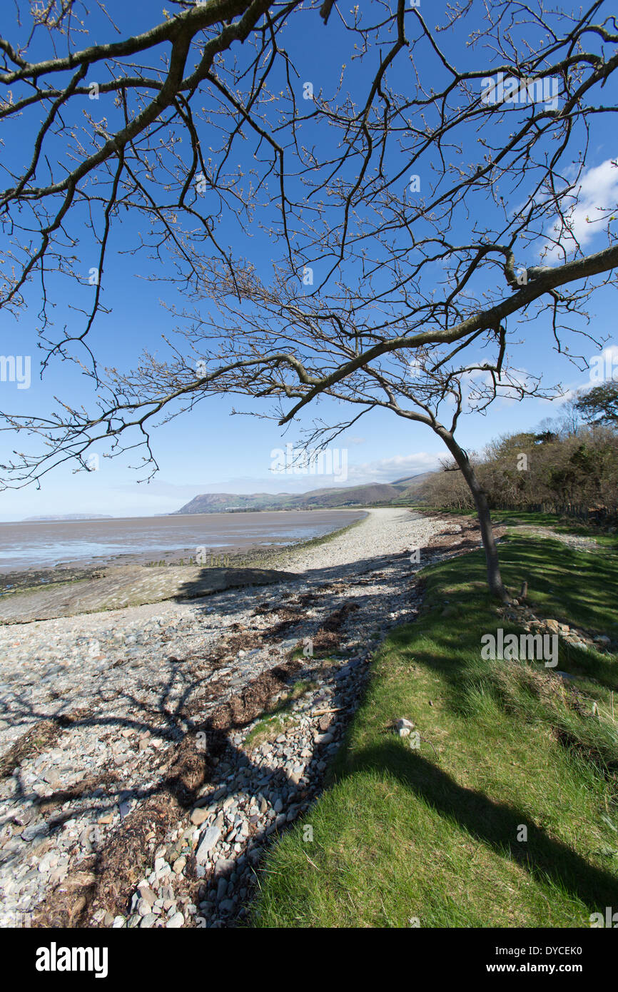 The Wales Coastal Path in North Wales. Traeth Lafan Nature Reserve on ...
