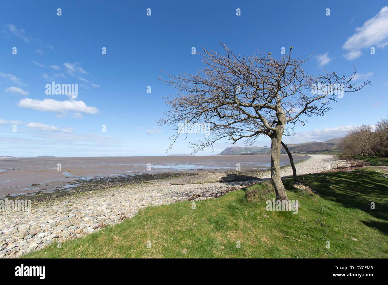 The Wales Coastal Path in North Wales. Traeth Lafan Nature Reserve on ...