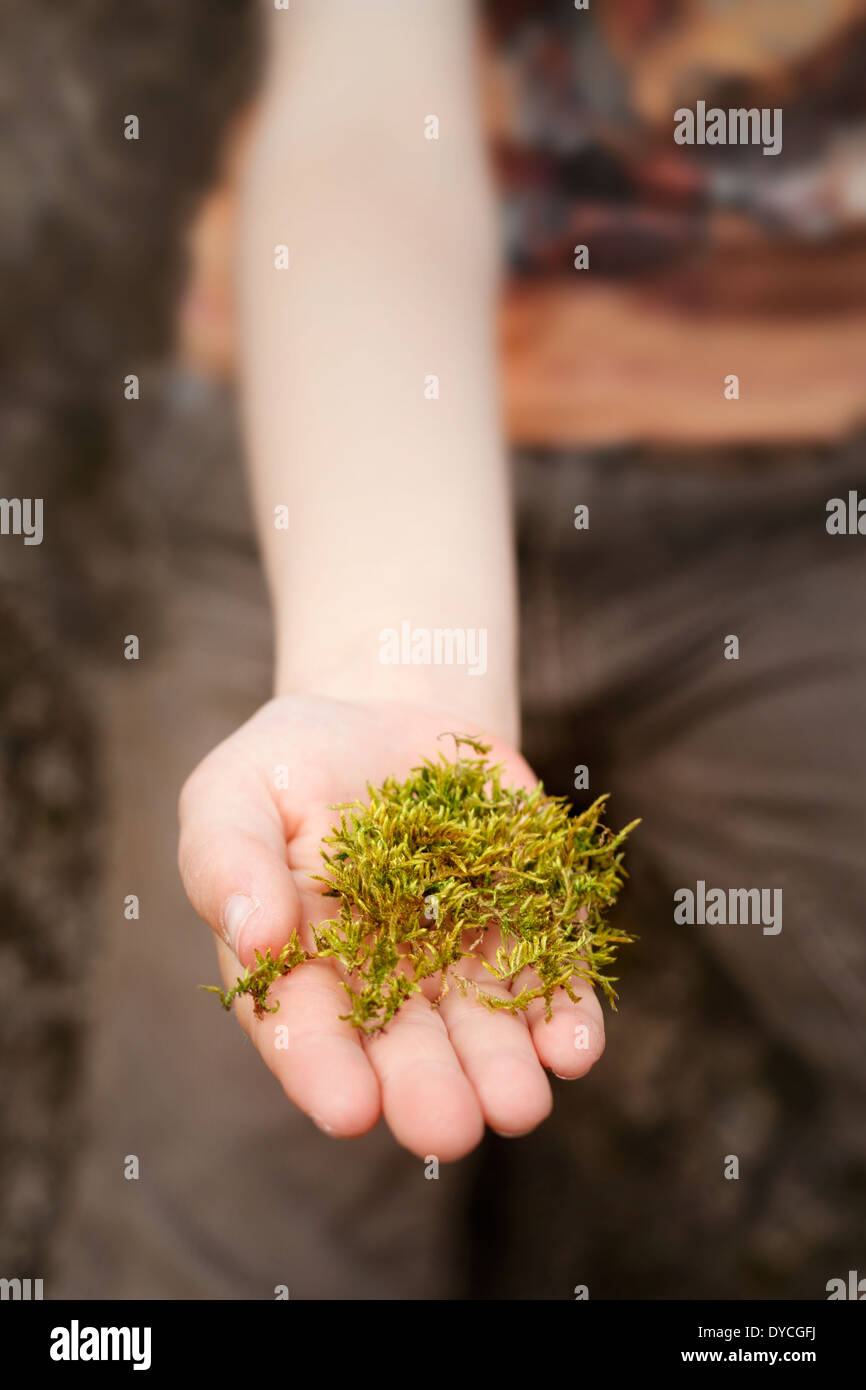 Young child outdoors holding moss Stock Photo - Alamy