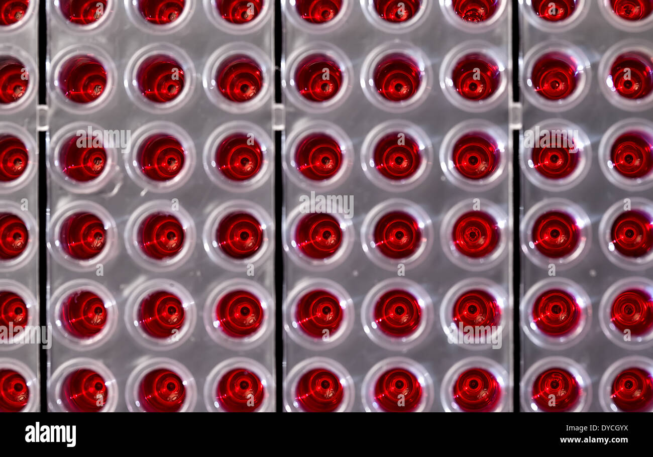 Laboratory plates hi-res stock photography and images - Alamy