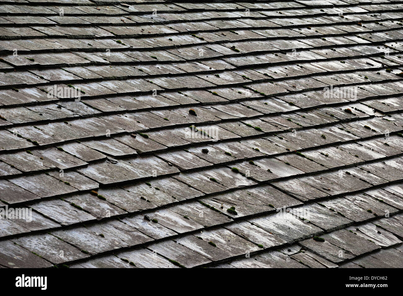 Roof Slates on a Roof Stock Photo - Alamy
