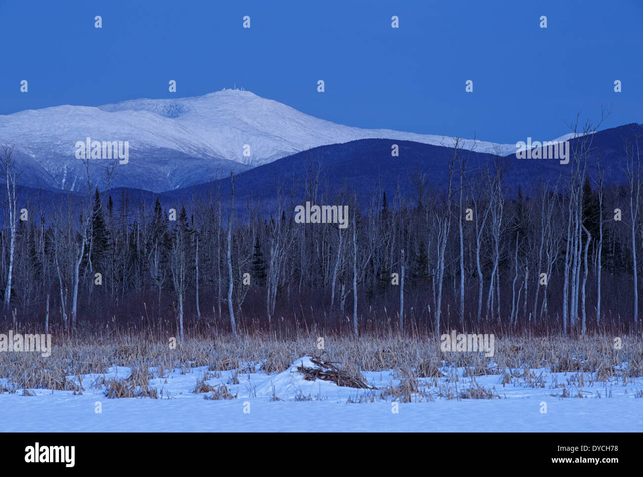 Presidential Range Rail Trail High Resolution Stock Photography and ...