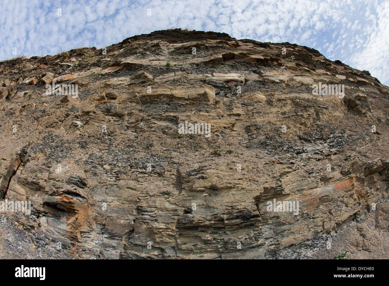 Jurassic Coastal Rock Stock Photo - Alamy