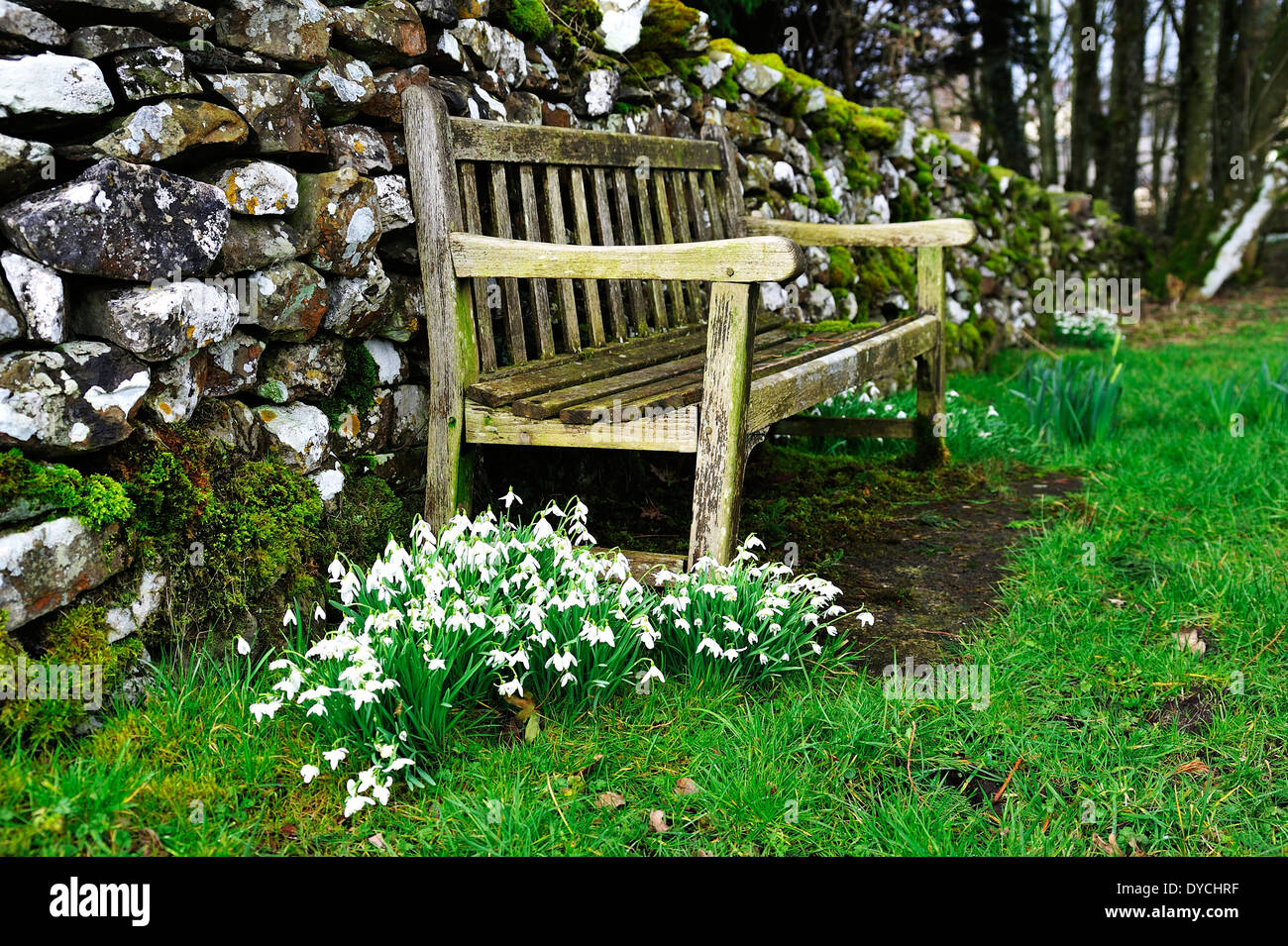 Spring Flowers and an Old Bench Stock Photo - Alamy