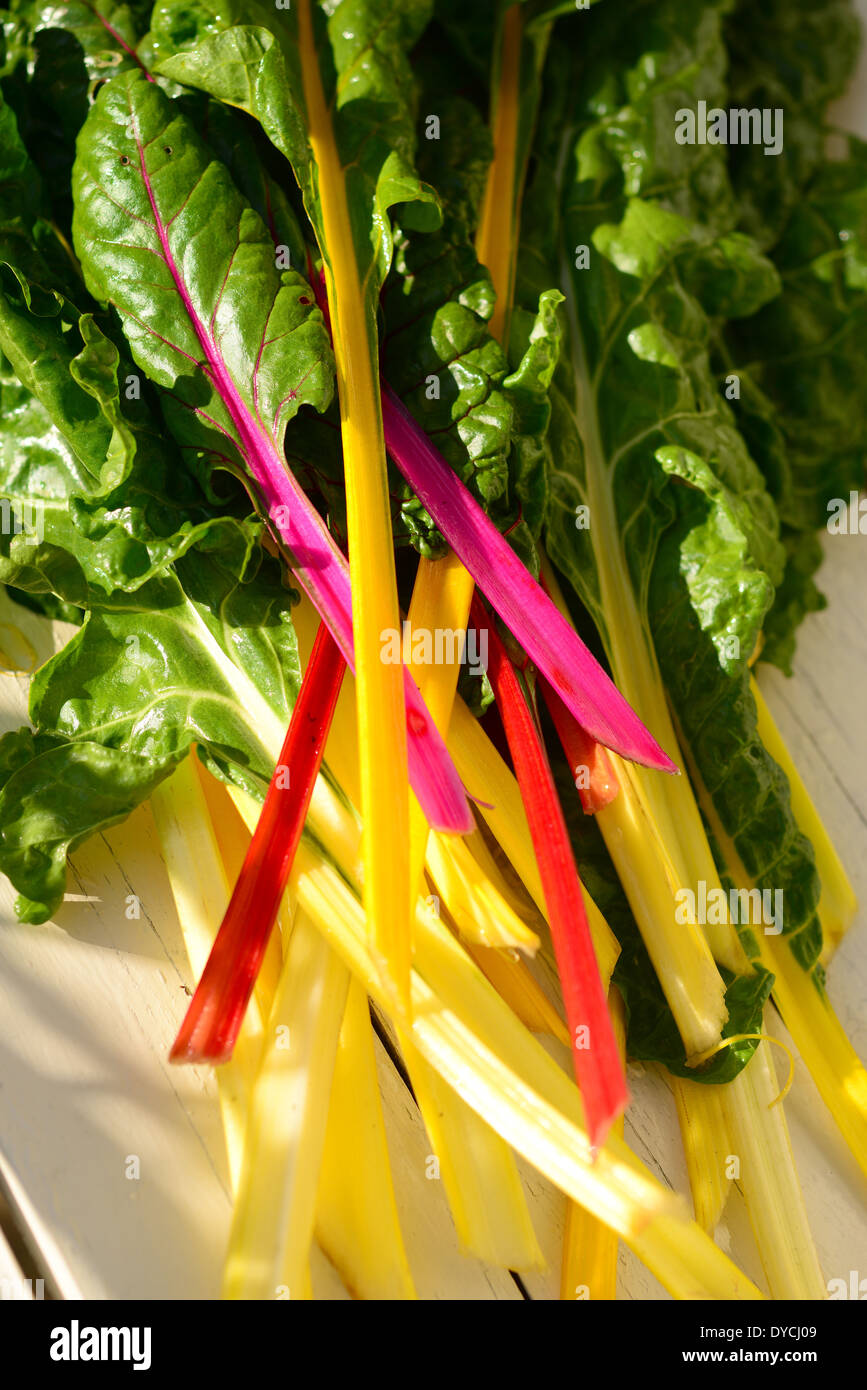 Rainbow Chard, cut and ready to cook Stock Photo - Alamy