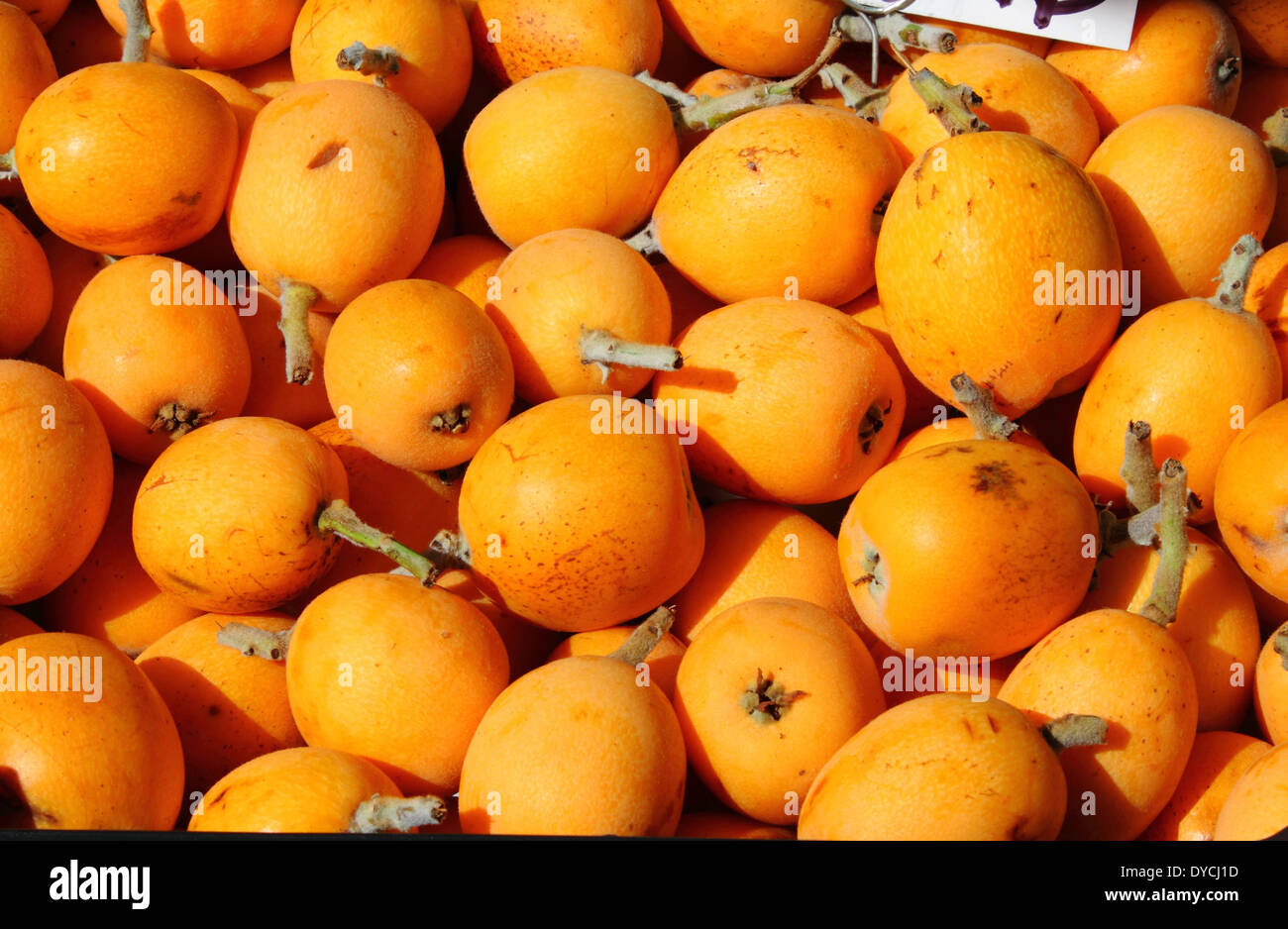 Mediterranean medlar hi-res stock photography and images - Alamy