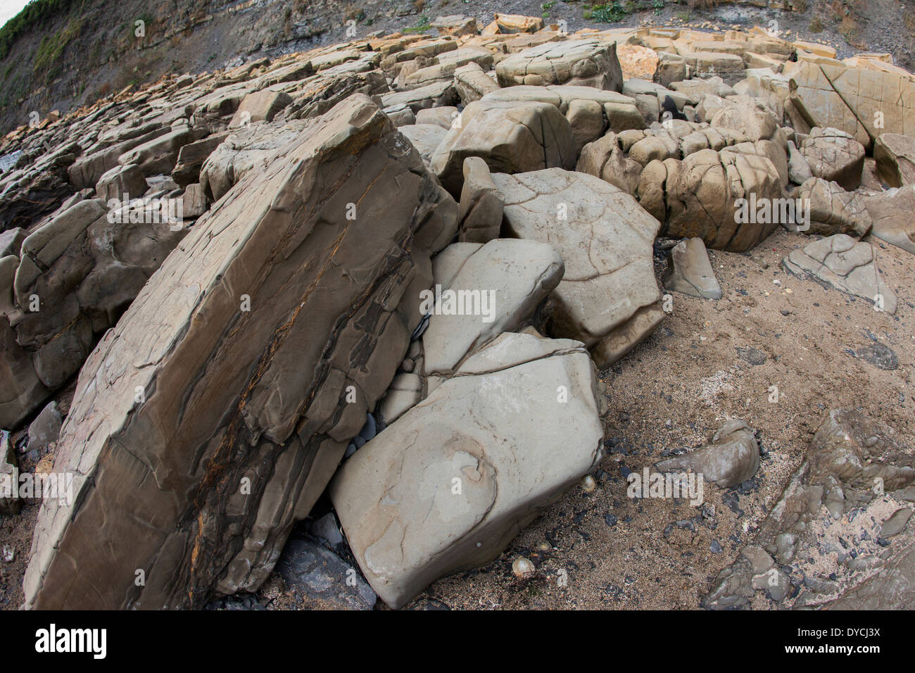 Jurassic Coastal Rock Stock Photo - Alamy