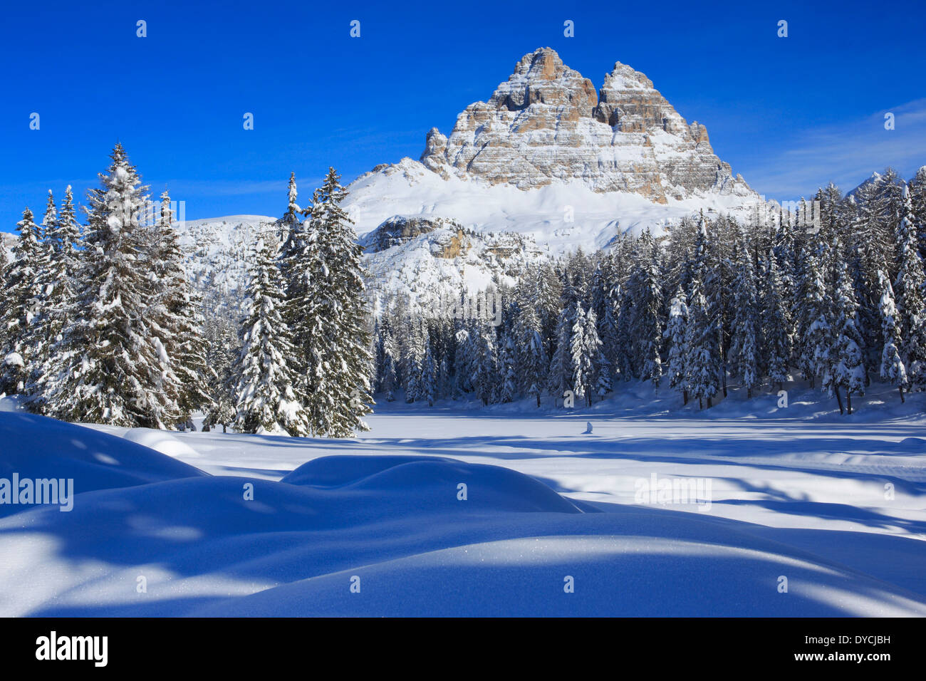 Alps Alpine panorama view tree mountain mountains massif mountain ...
