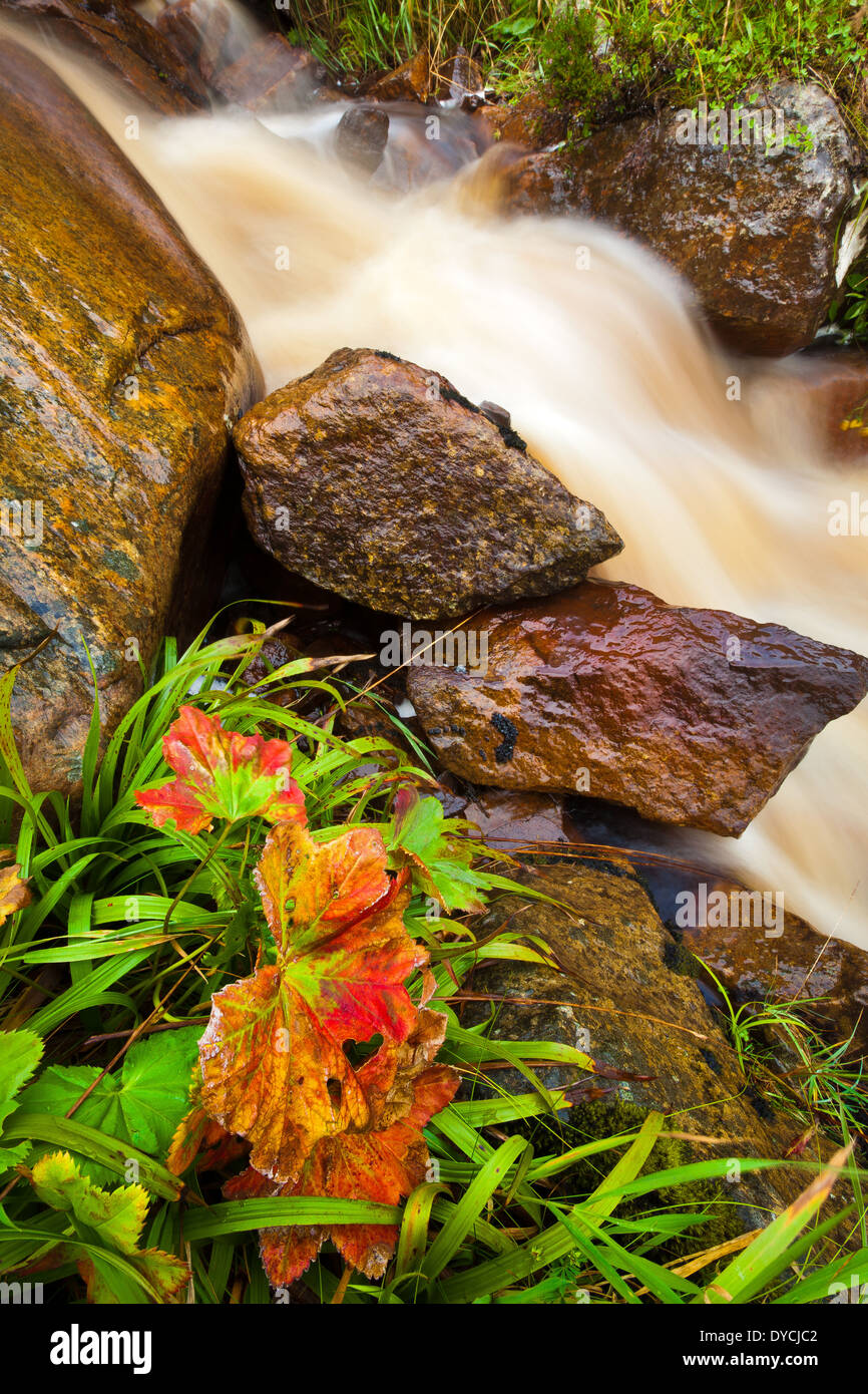 Runde river hi-res stock photography and images - Alamy