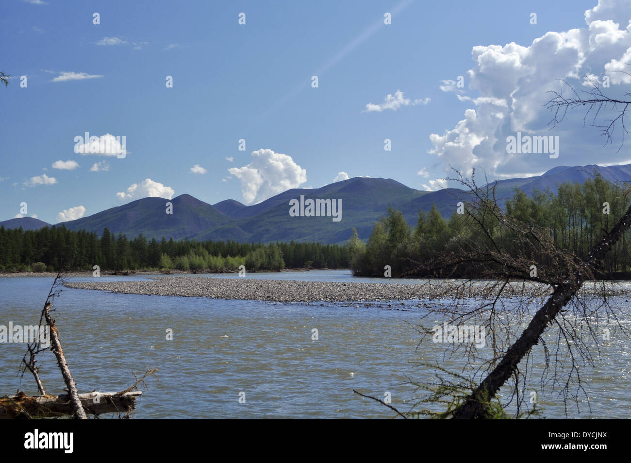 River flowing in a mountain valley. Landscape wildlife. Russia, Yakutia ...