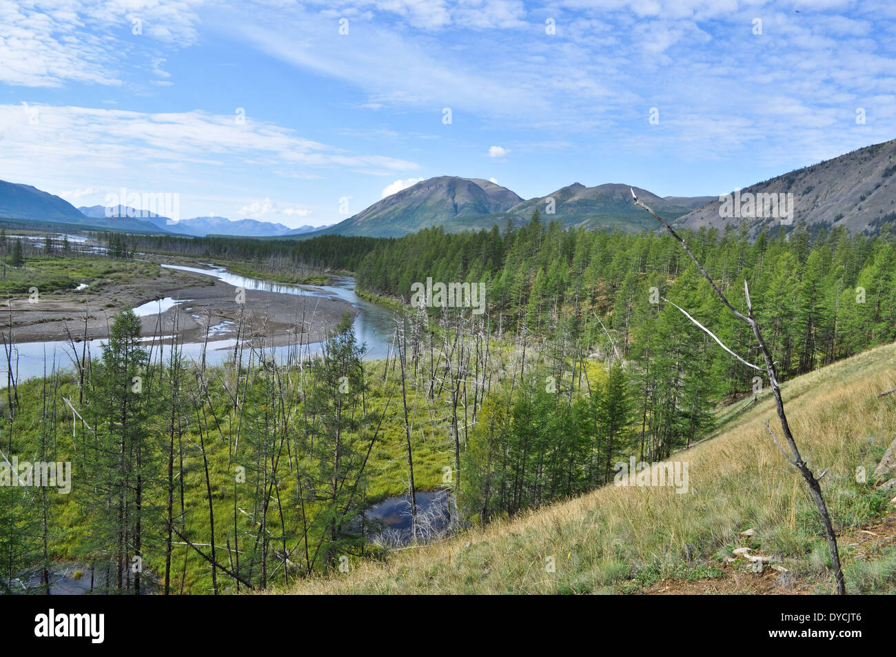 Mountain river Suntar. Landscape of the far corners of the earth in ...