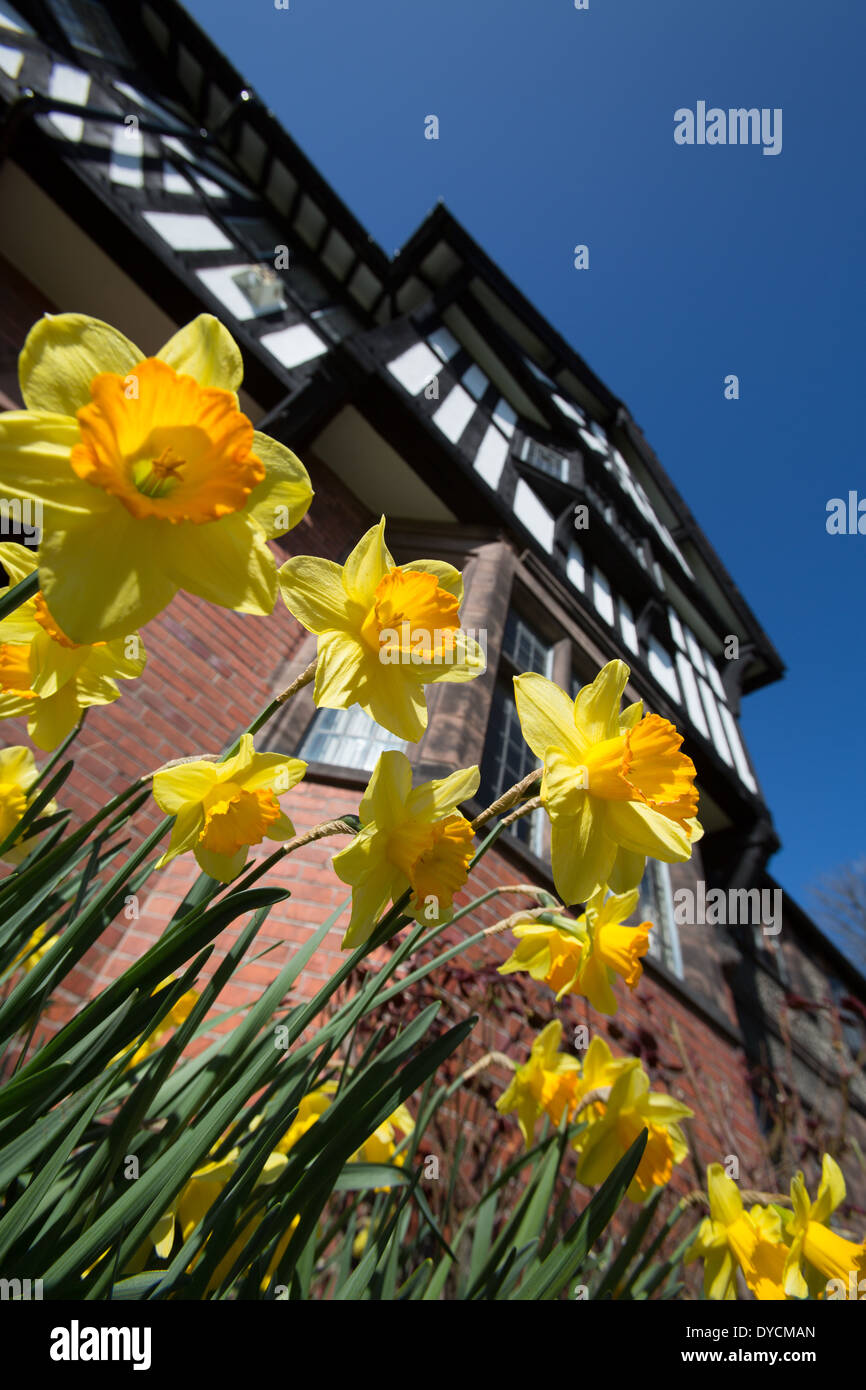 Village of Port Sunlight, England. Spring view of the Douglas & Fordham ...