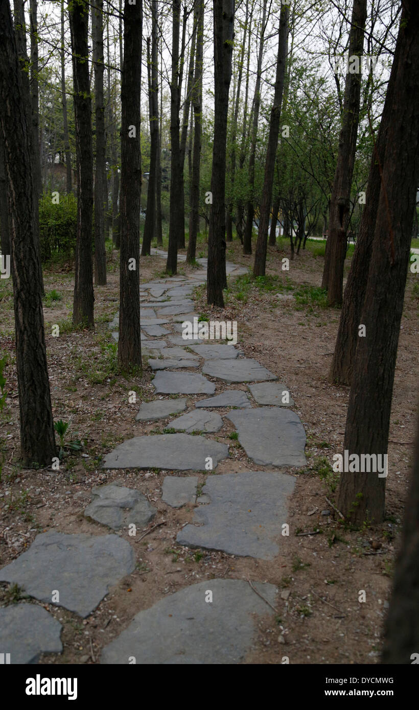 Pass among trees, Seoul, South Korea Stock Photo - Alamy