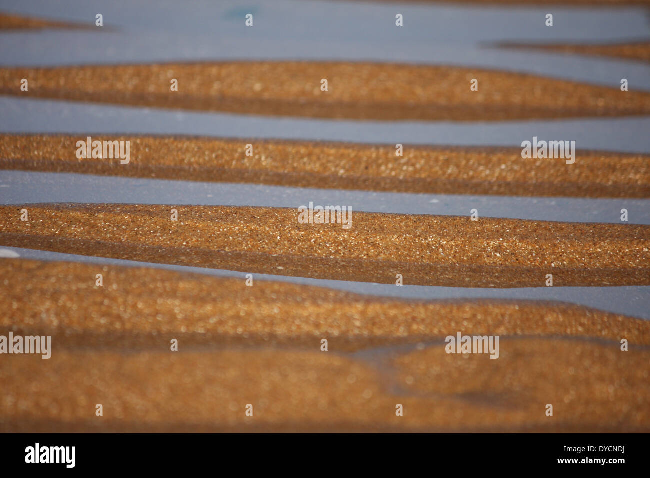 Sand ripples at low tide Stock Photo - Alamy